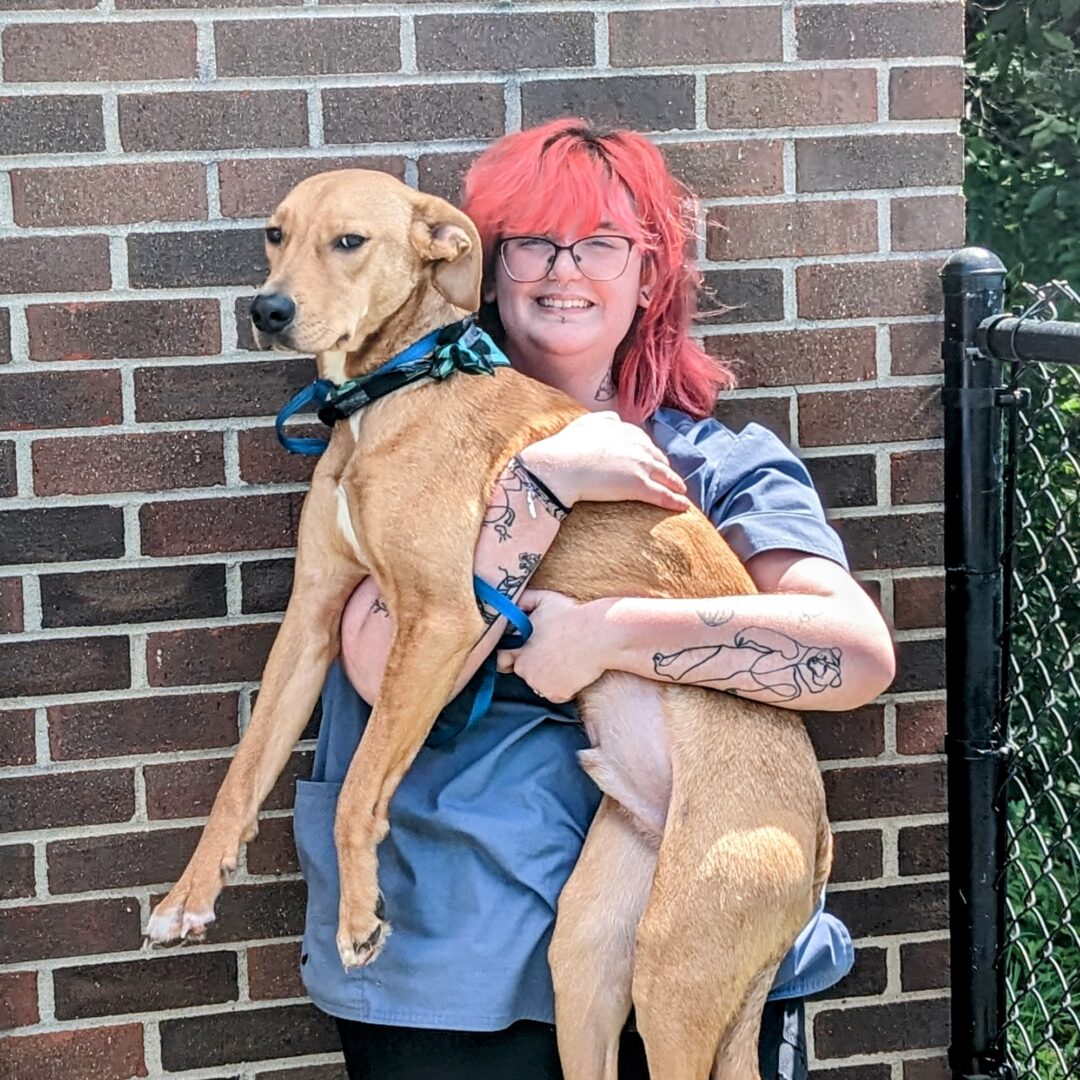 Winston-Salem, NC 27127 Veterinarians | Abri Veterinary Hospital